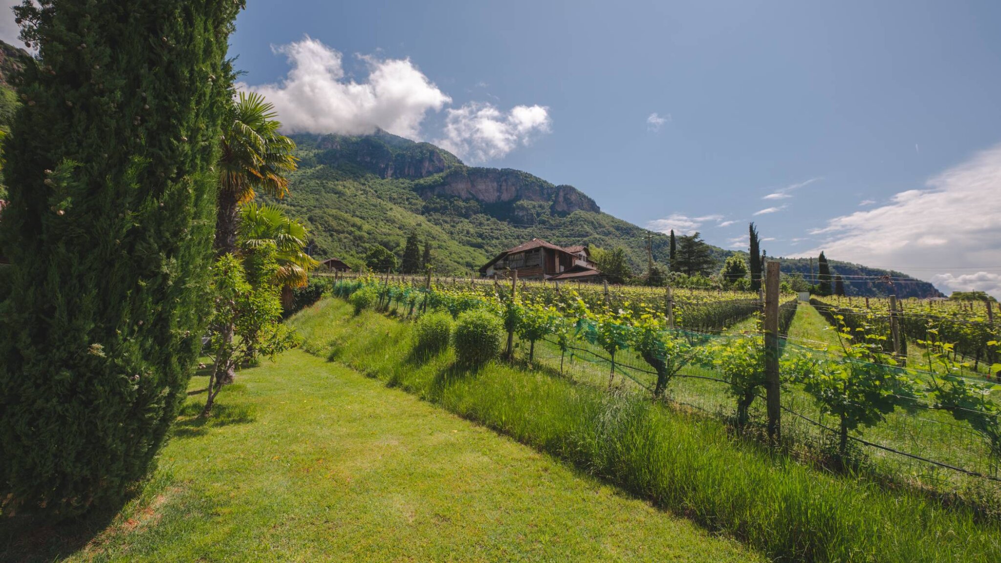 Adults only Ferienwohnungen in Terlan in Südtirol | Thanhammerhof